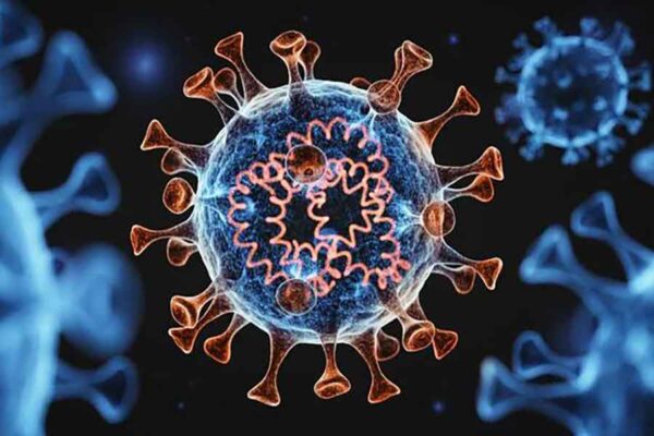 Avian influenza in birds: transmission modes & symptoms - Wixbio